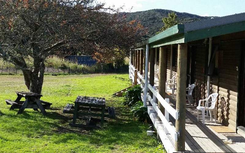 Waitiki Holiday Park | Full Service Camp | New Zealand